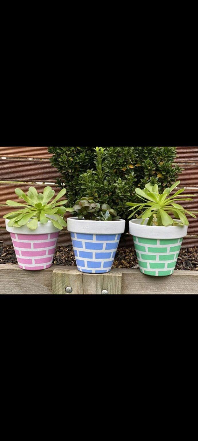 Block-work Pot Set (4 inches) – Pak Plants