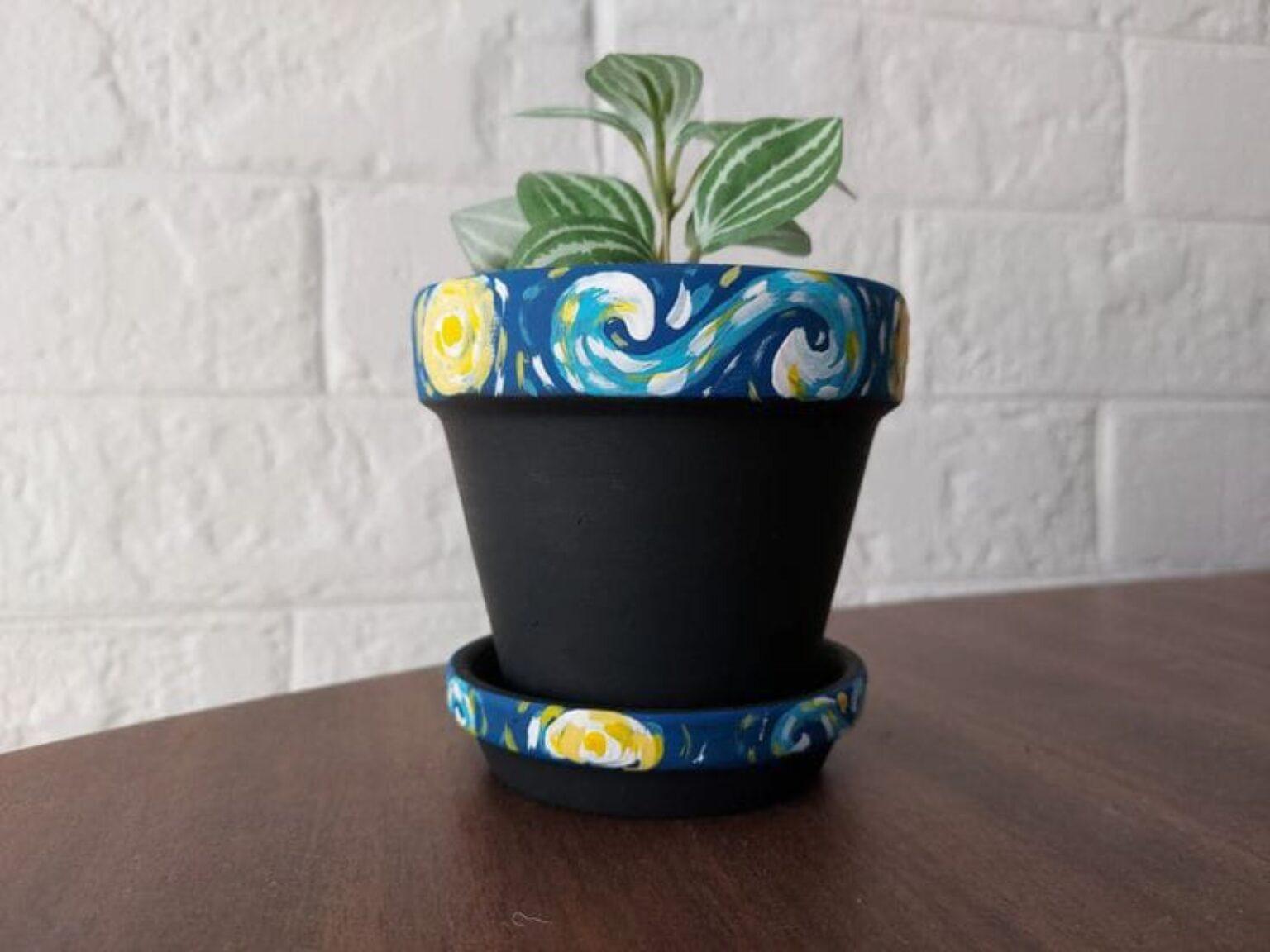 Starry Night Pot (4 inches) – Pak Plants