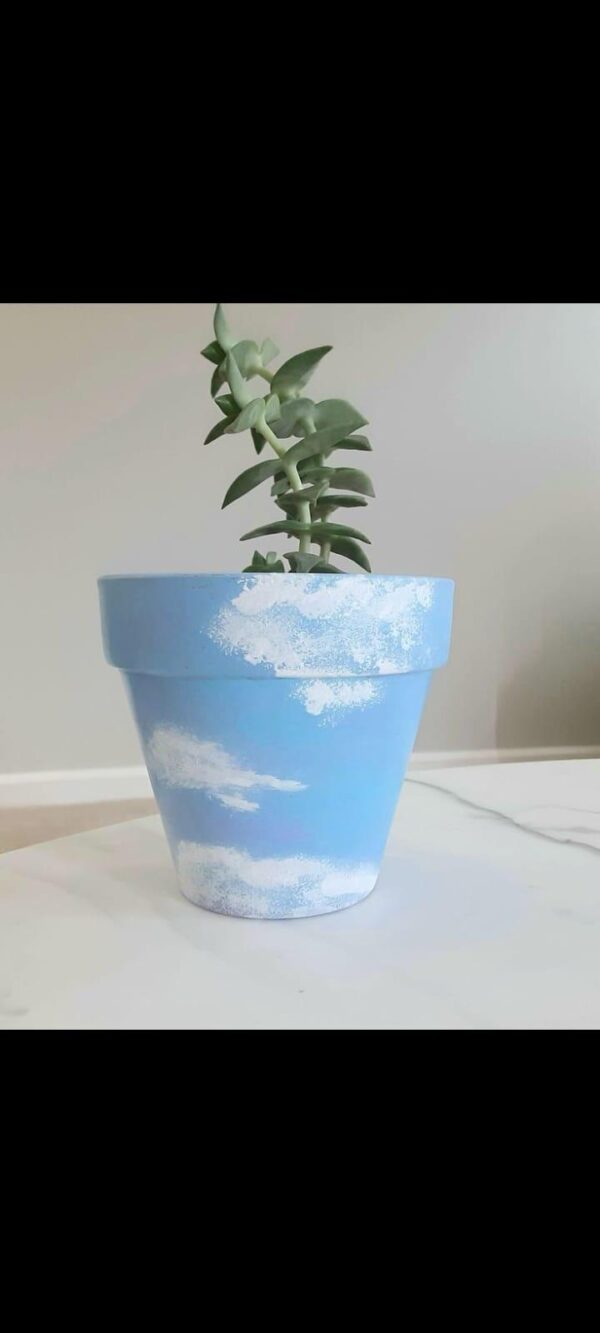 Sky-Themed Pot (5 inches) – Pak Plants