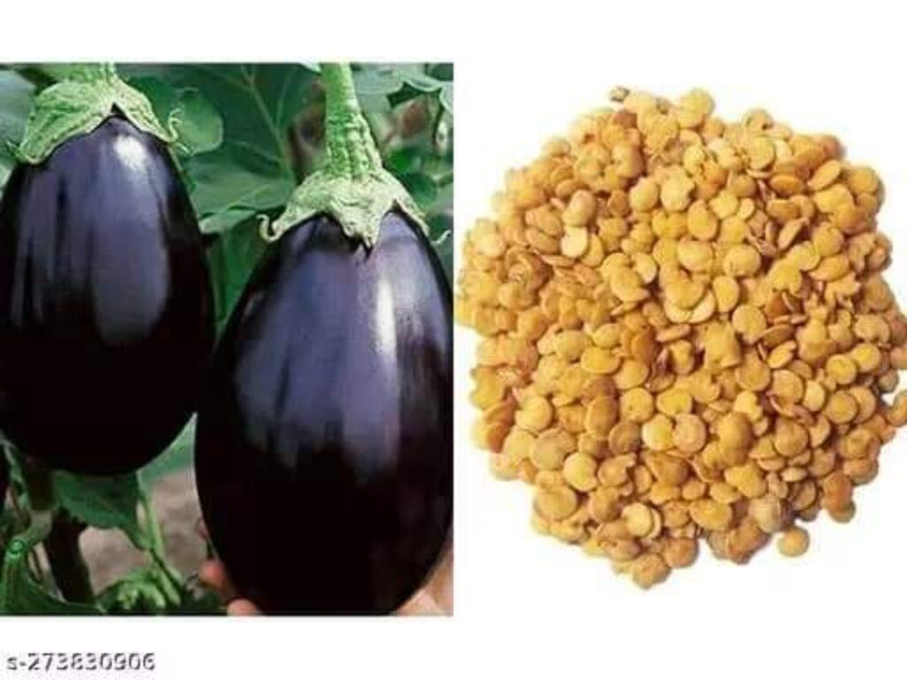 Brinjal seeds – Pak Plants