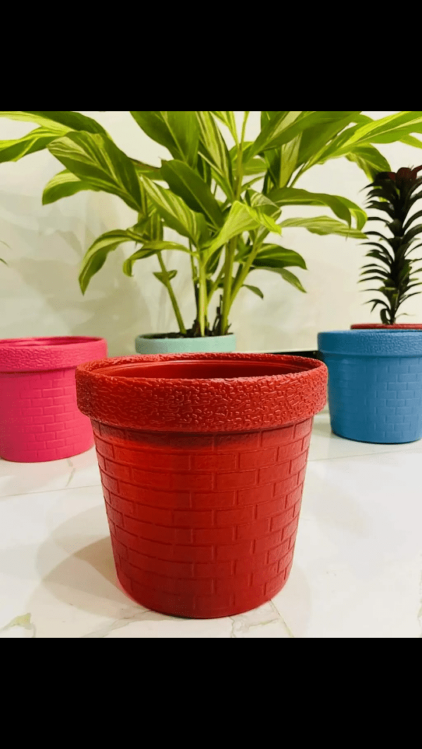 Fiber pots 5 packs – Pak Plants