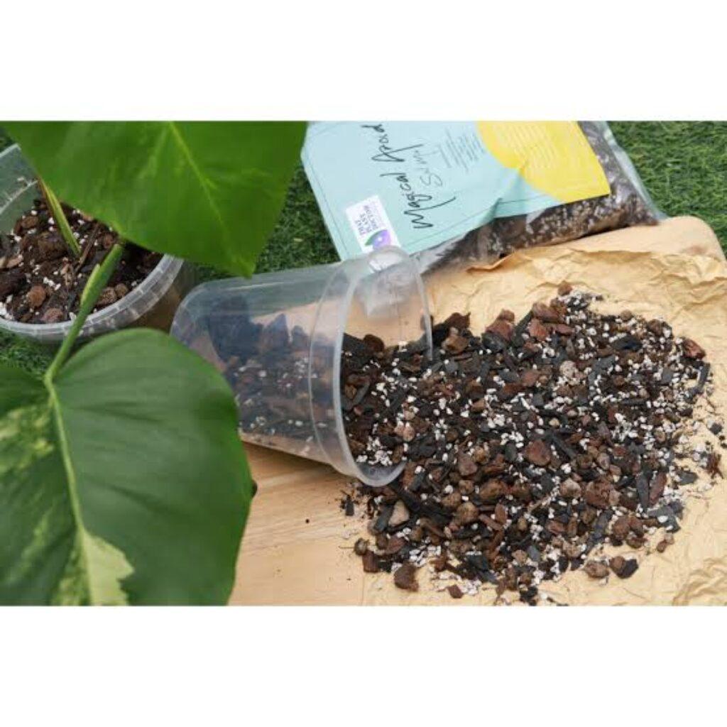 Aroids potting mix pack of 1 kg – Pak Plants