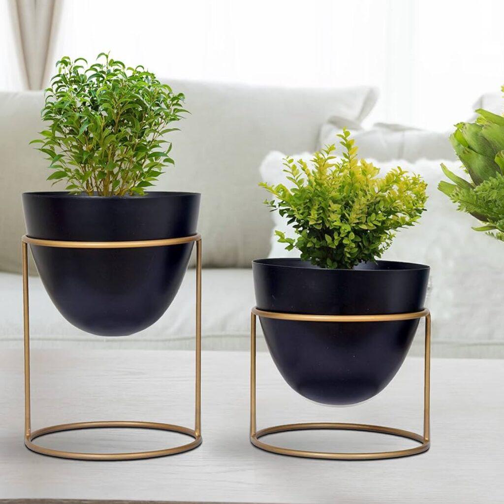 Plant Pots Made Easy: Your Guide to Selection and Care – Pak Plants
