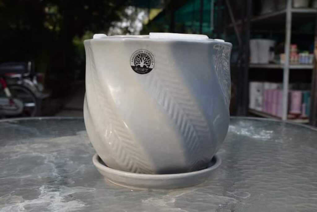 Gray ceramic pot – Pak Plants
