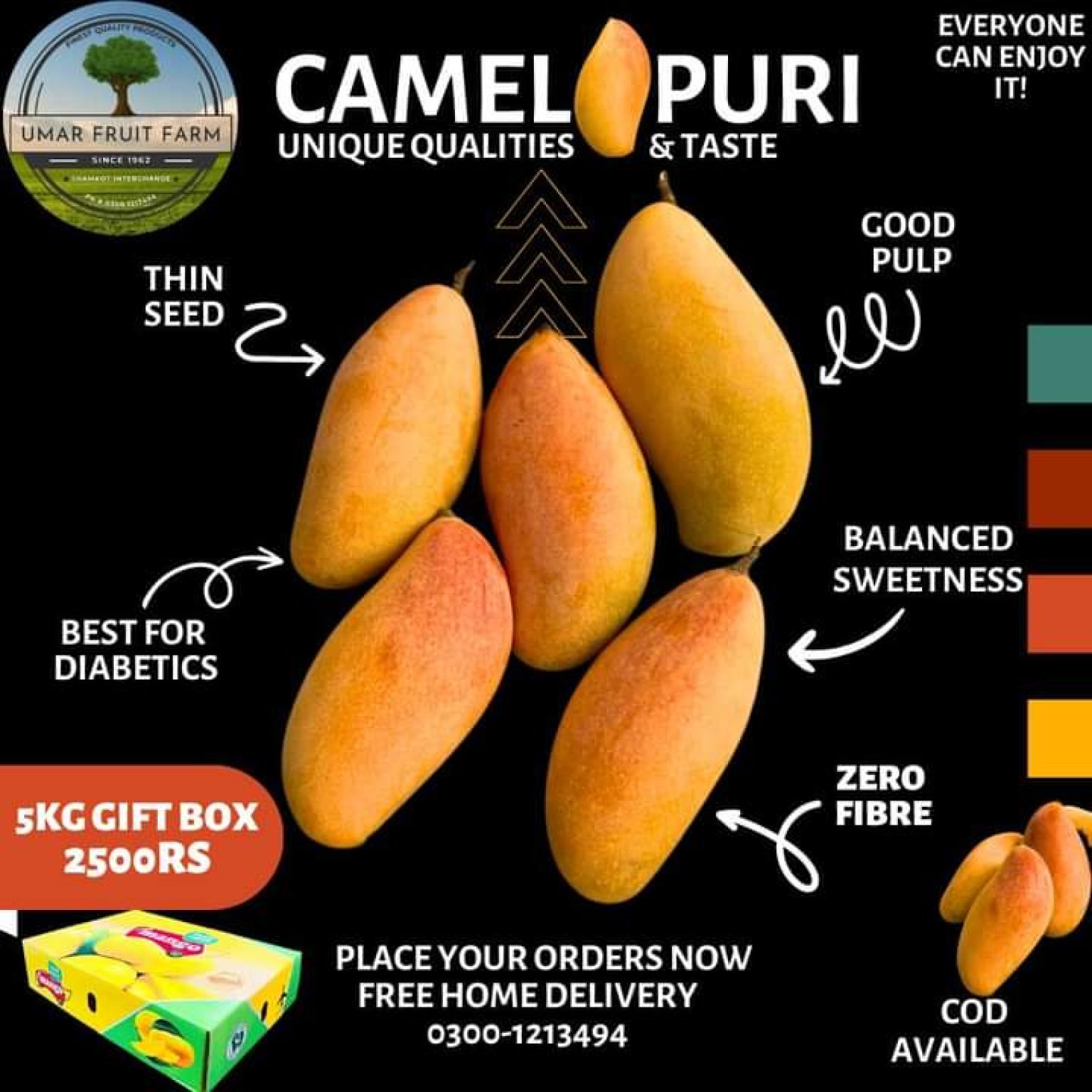 Camel puri mango – Pak Plants