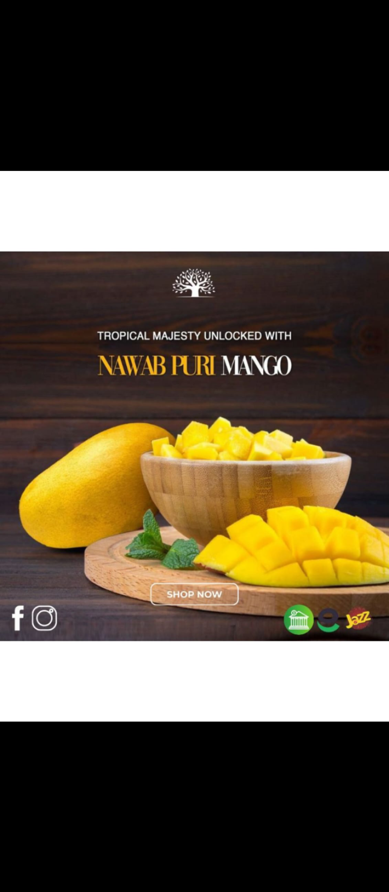 Nawabpuri Mango – Pak Plants