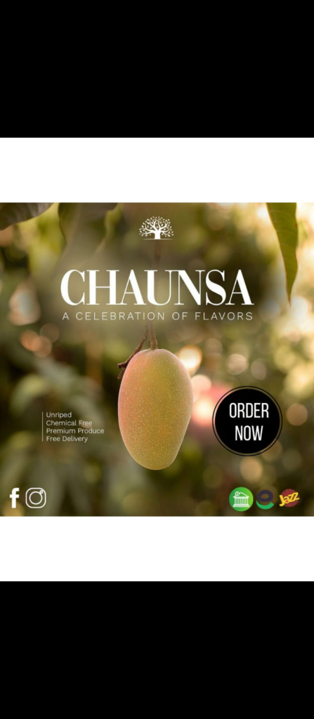 Chaunsa Mango – Pak Plants
