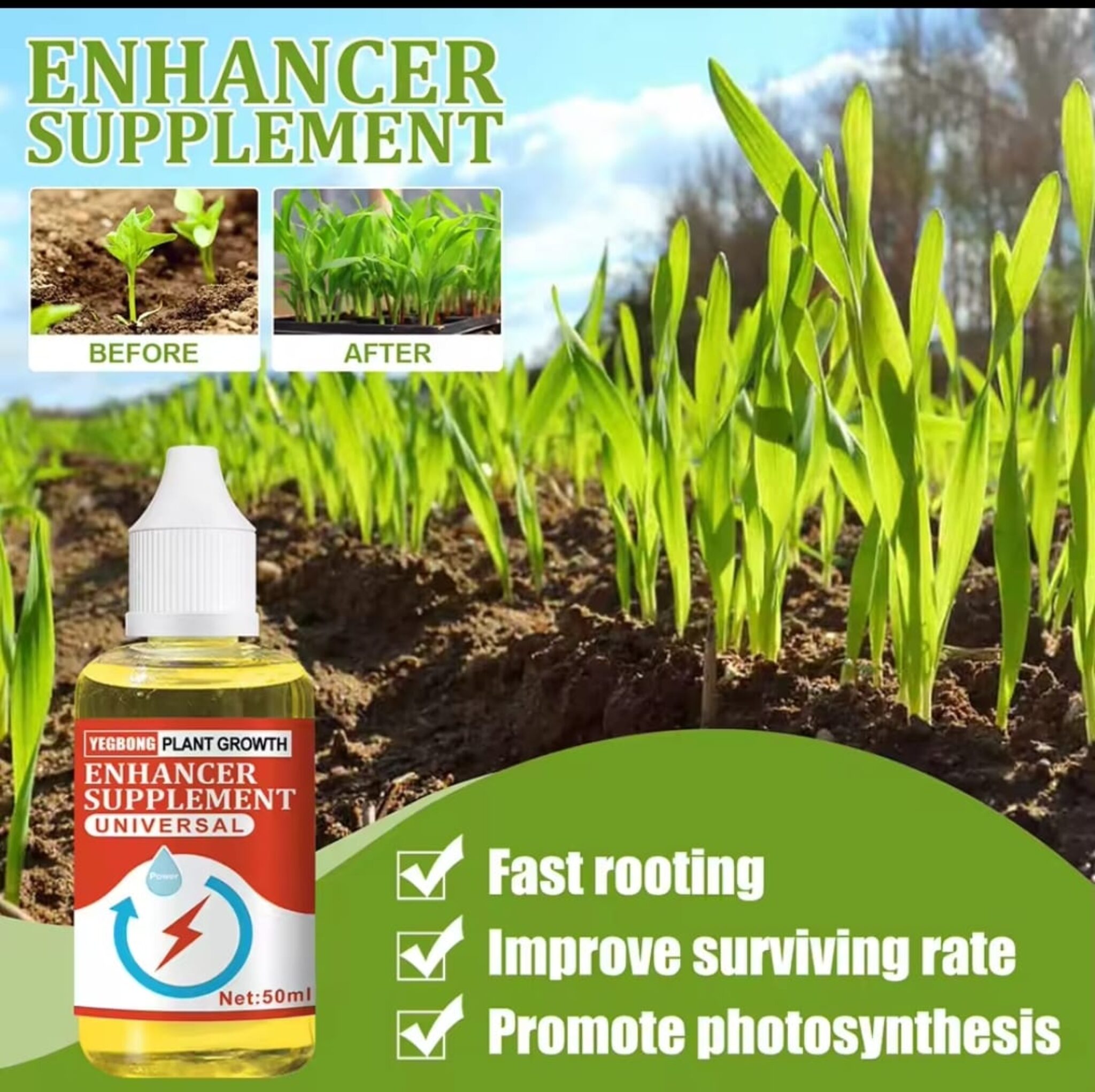Enhancer Supplement for Plant Growth – Pak Plants