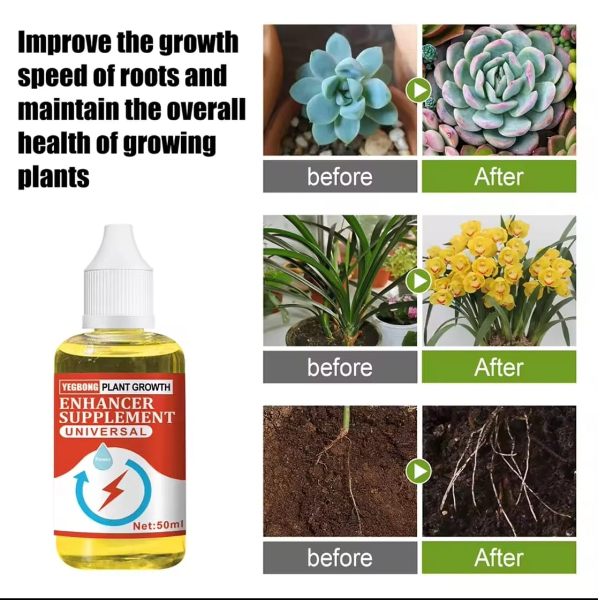 Enhancer Supplement for Plant Growth – Pak Plants