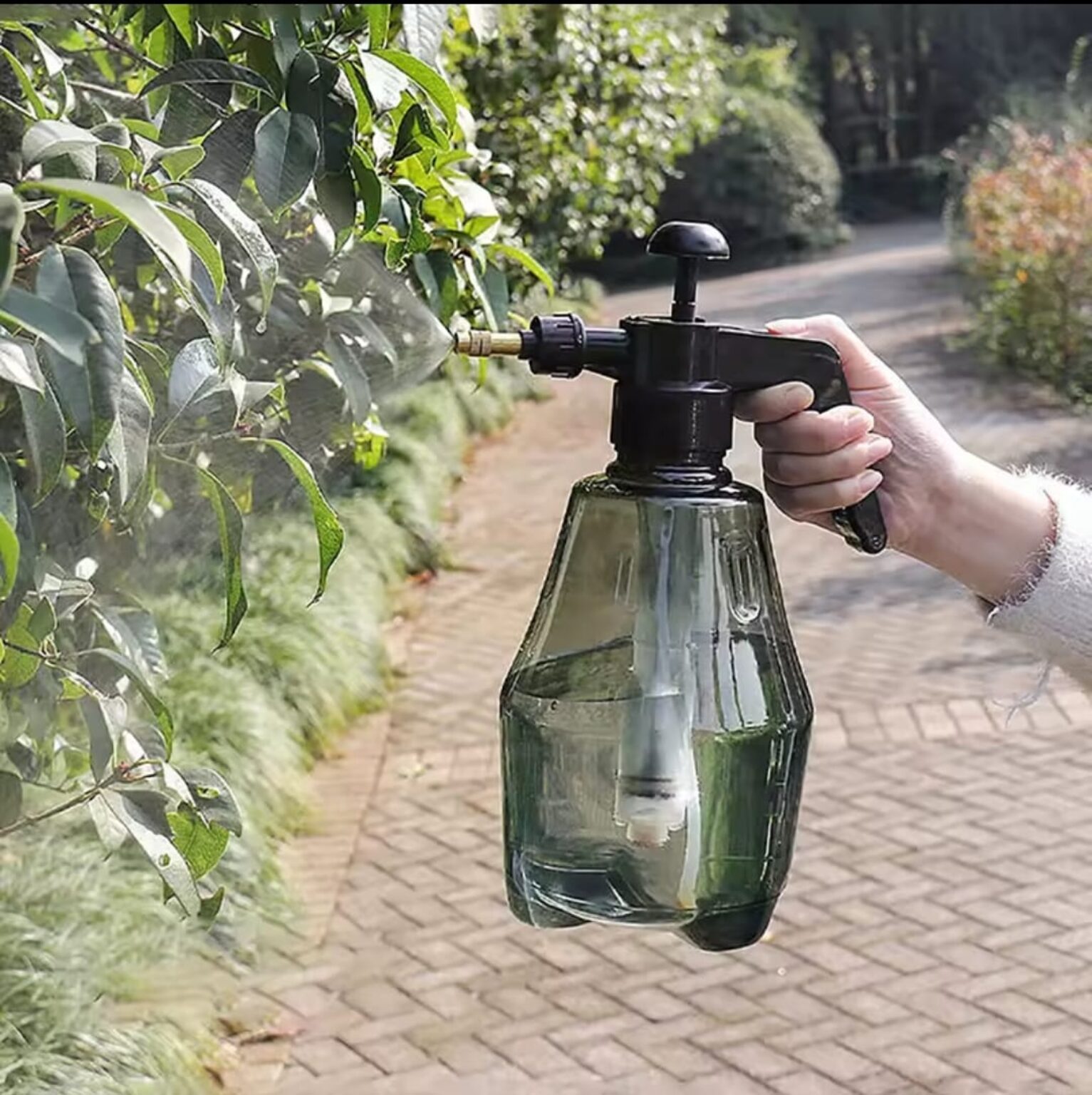 1.5 Liter Spray Bottle For Plants – Pak Plants